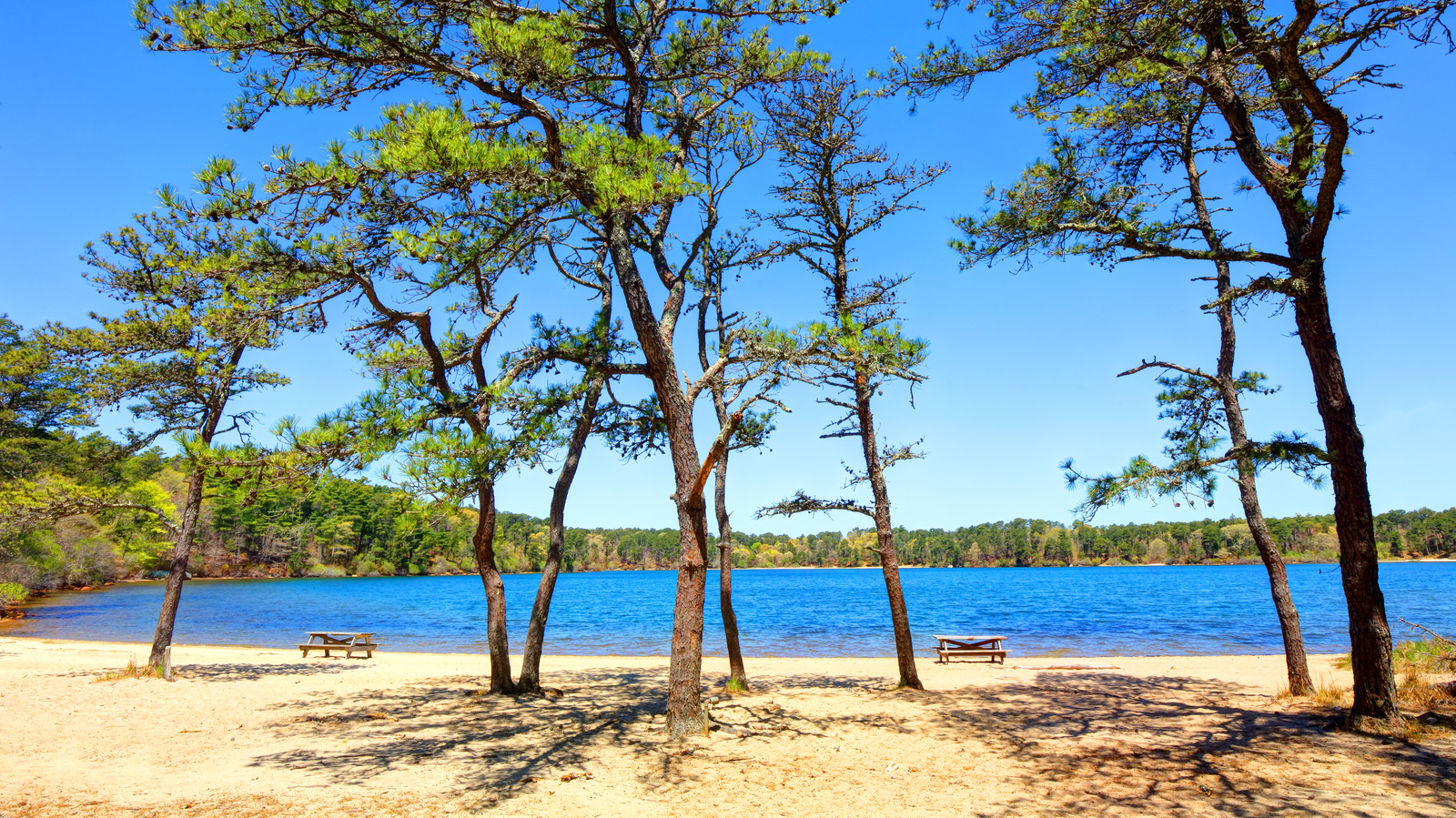 Cape Cod Camping State Park
