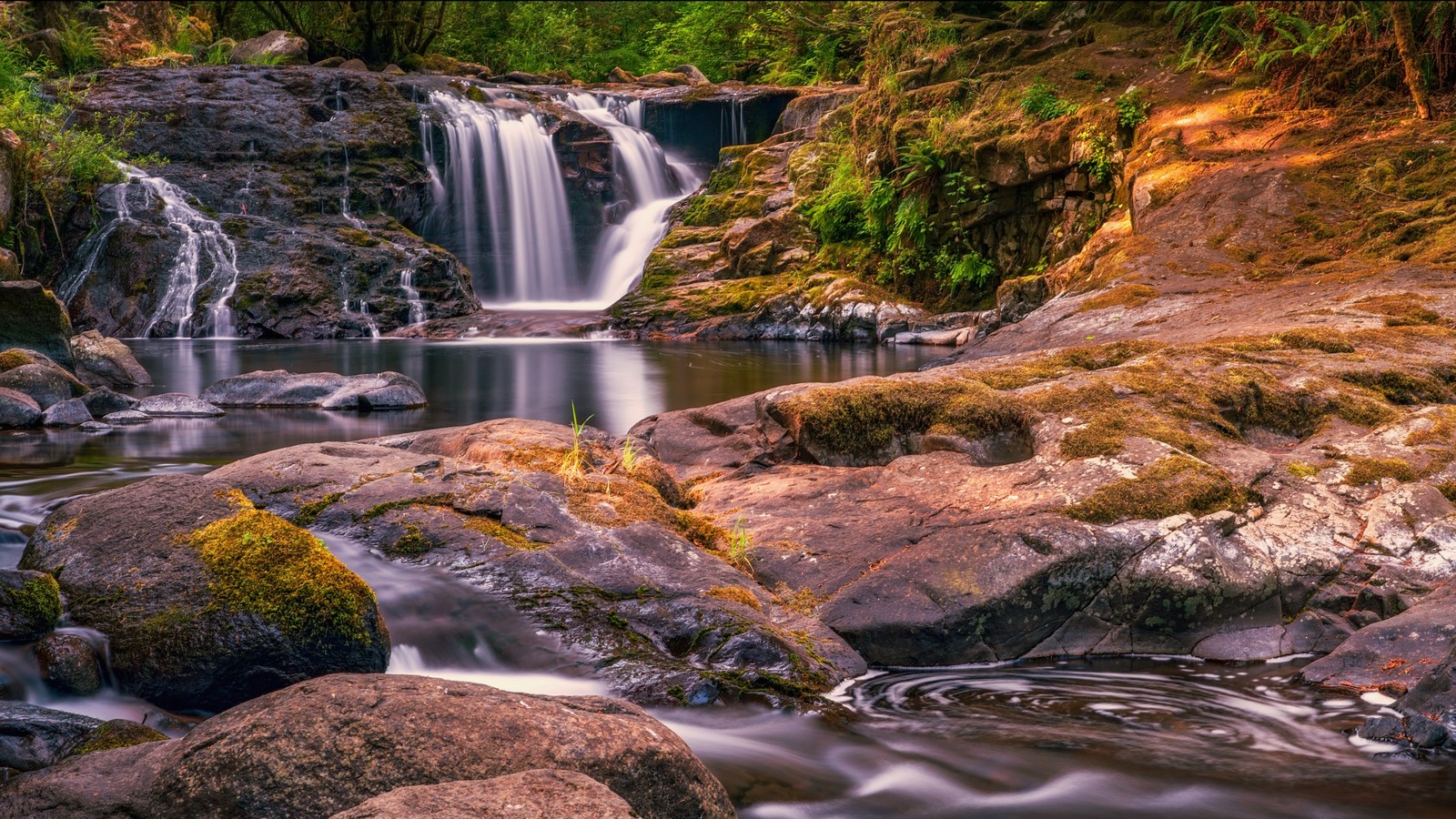 Sweet Creek Falls Is Oregon's Best Family-Friendly Waterfall Hiking Trail