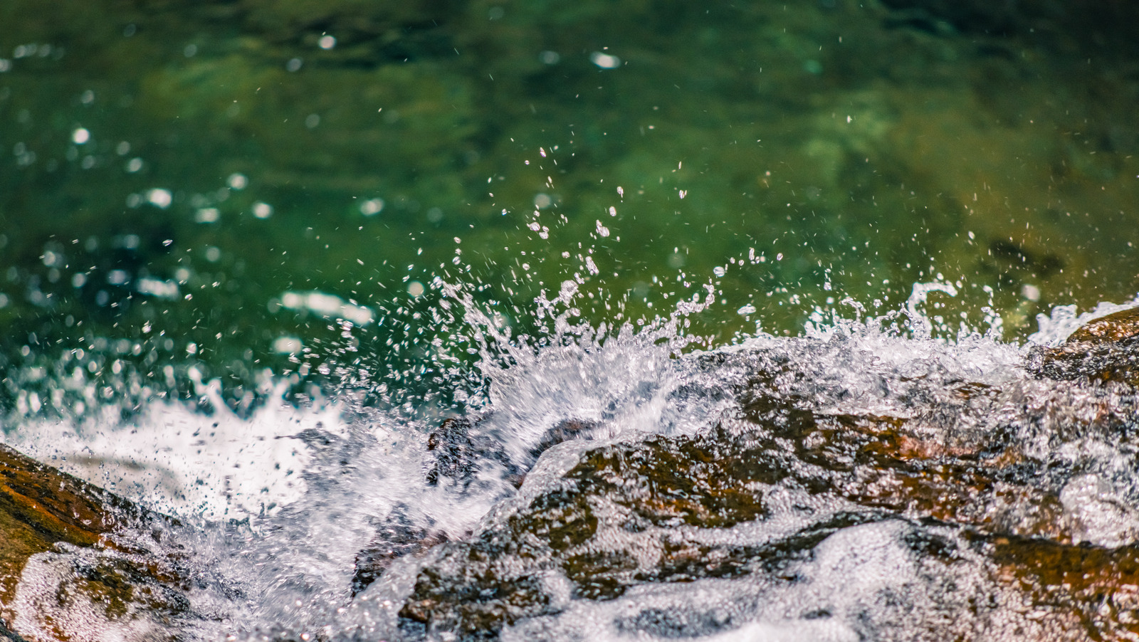 One Of Texas' Largest Springs Is A Peaceful Oasis With Parks, Natural ...