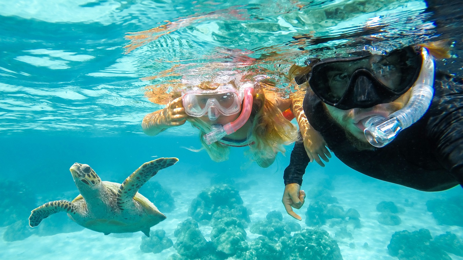One Of The Best Rated Snorkeling Tours In The US Is At This Caribbean ...