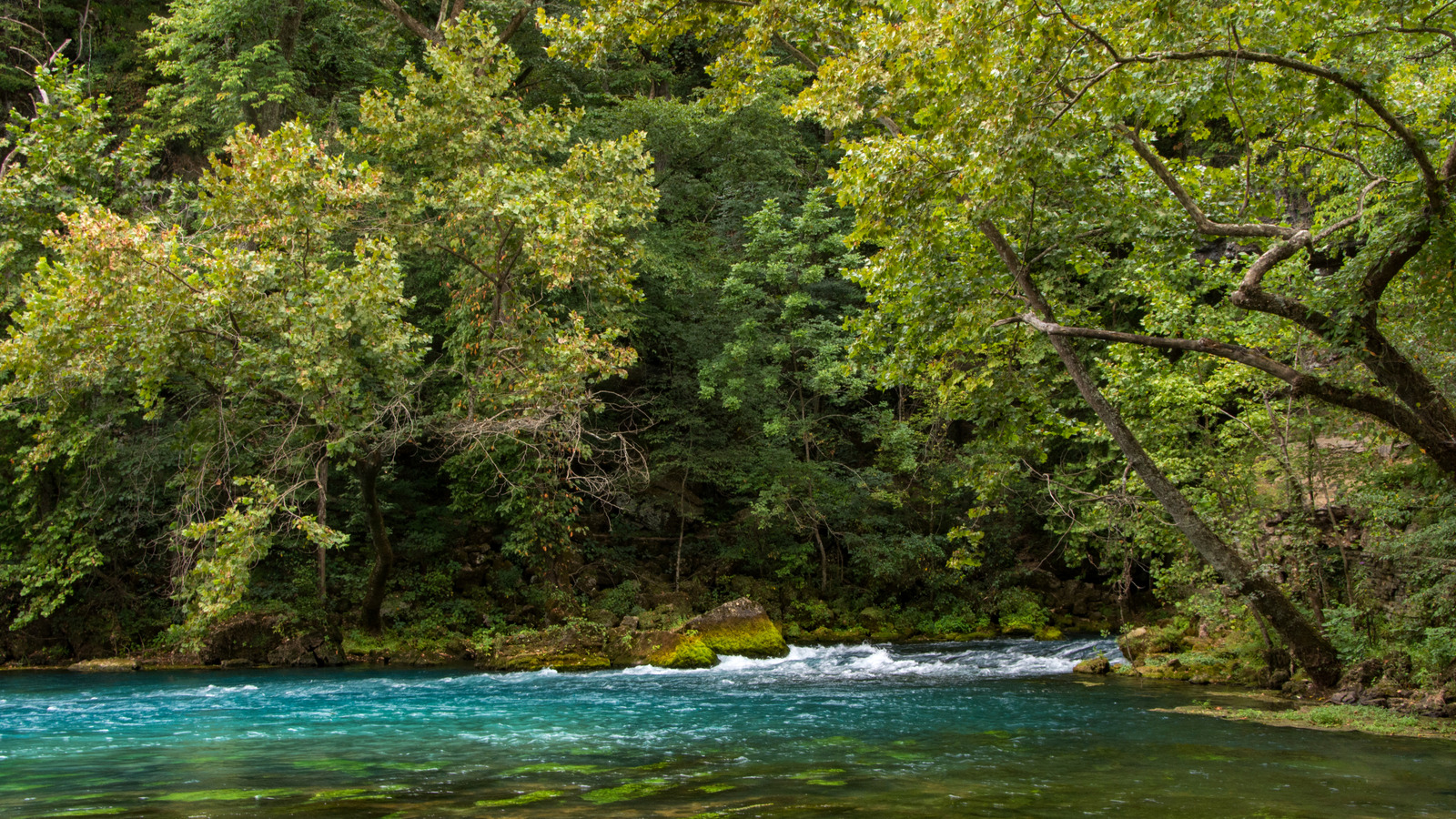 One Of The Largest Springs In The World Is A Gem In The Ozarks With ...