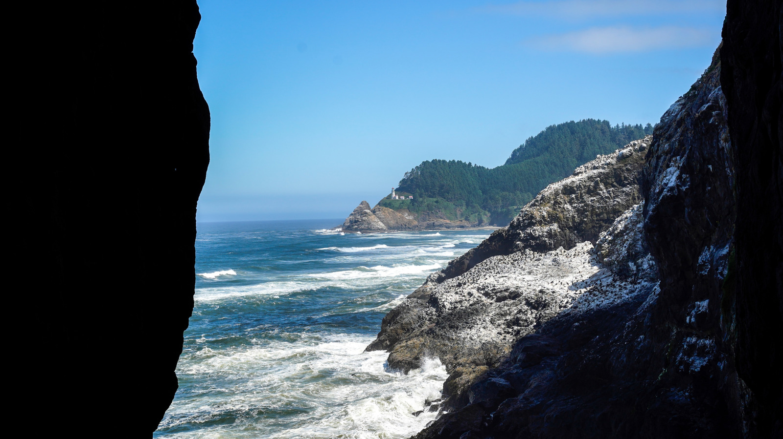 Oregon's Coast Is Home To America's Largest Sea Cave With Unmatched ...