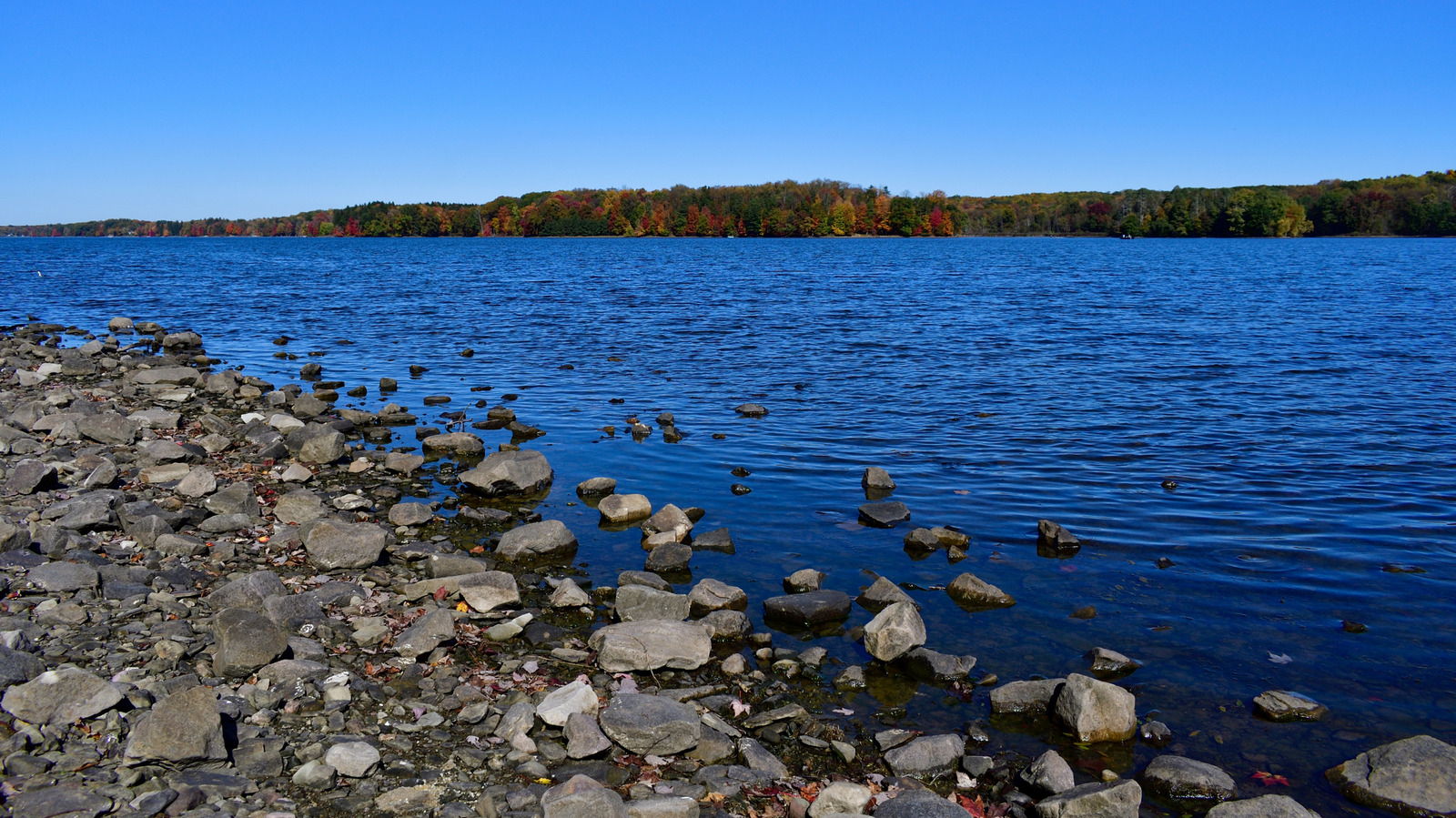 Pennsylvania's Biggest State Park Is Nestled Between Pittsburgh And ...