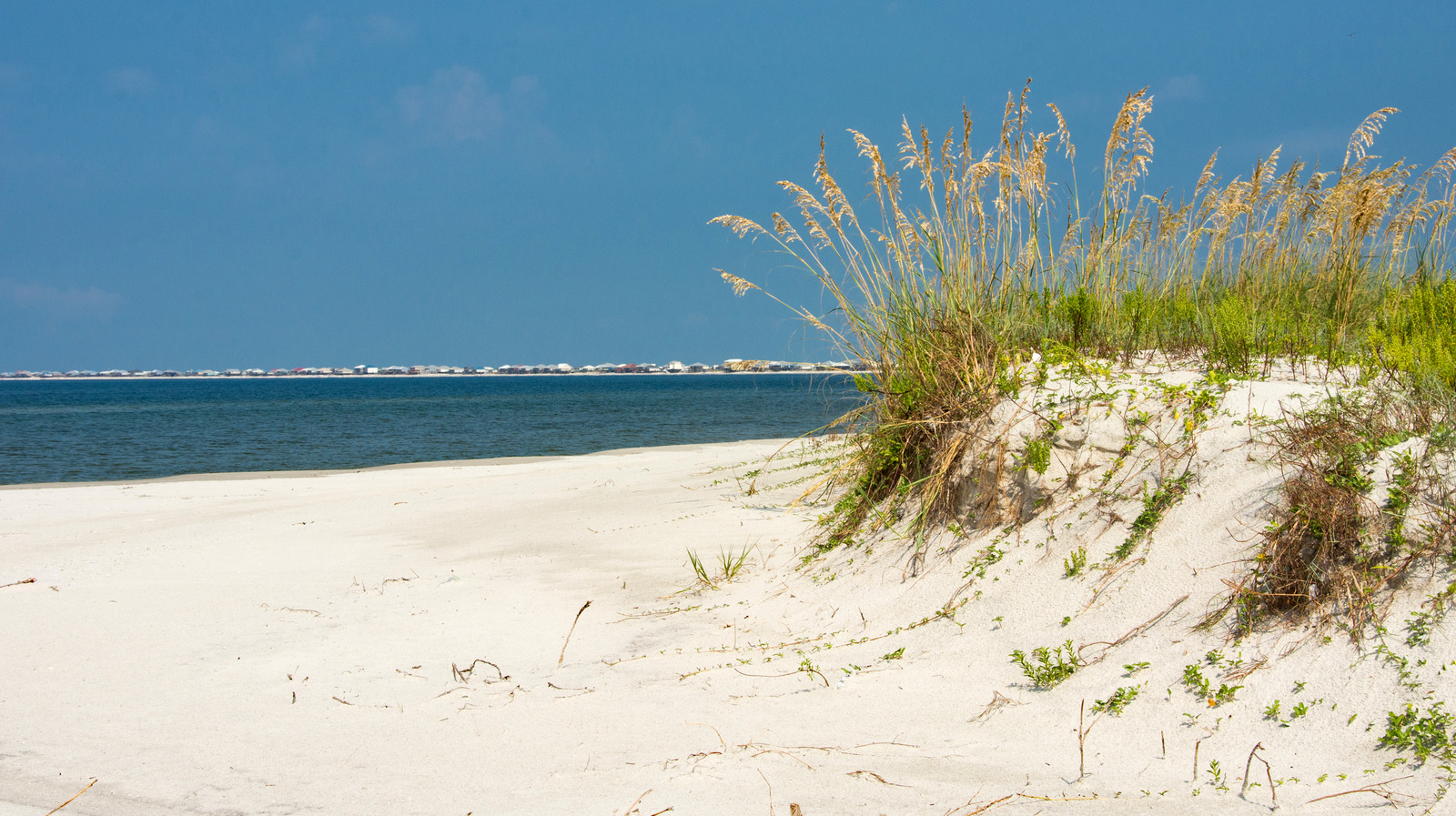 Relax On White Sand Beaches At This Tropical Southern US Destination