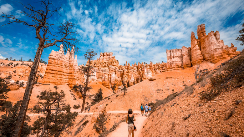 Scenic Beginner Hiking Trails In America's National Parks