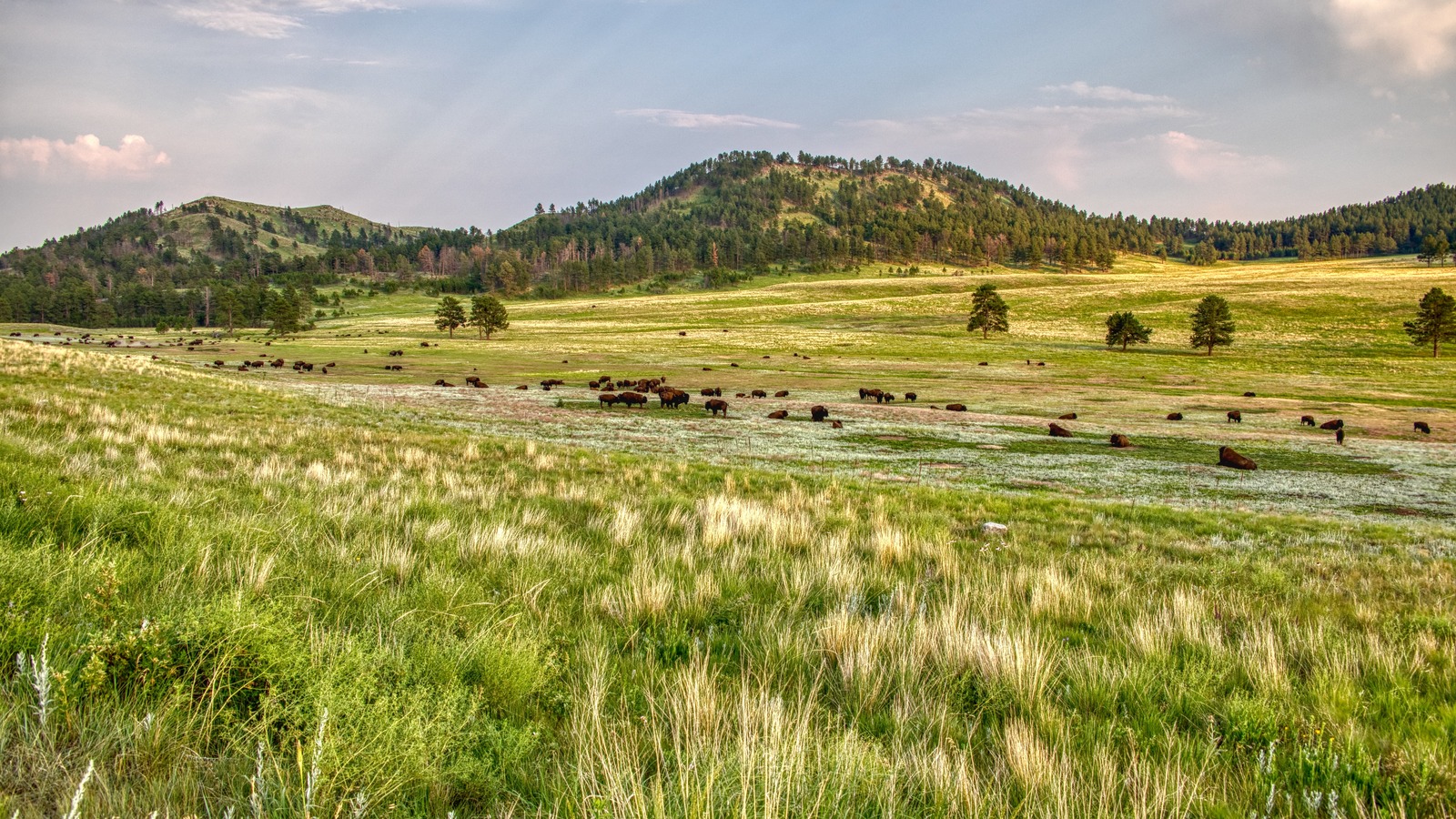 South Dakota's National Park With Caverns, Wildlife, And Scenic ...
