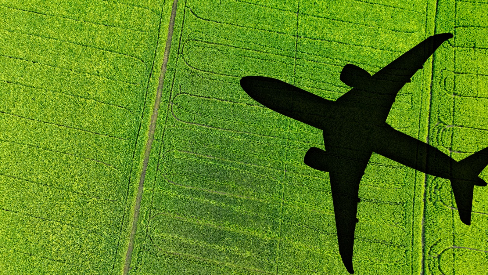 The 5 Most Eco-Friendly Airlines In America