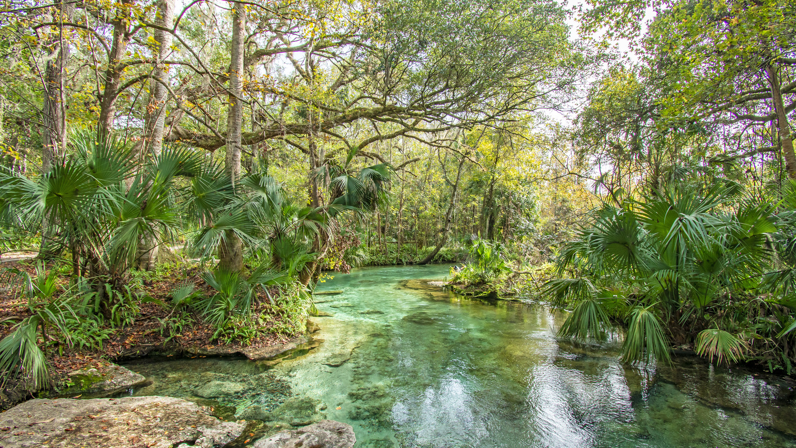 The Best Spot To Enjoy Crystal Clear Water & Warm Weather This Winter ...