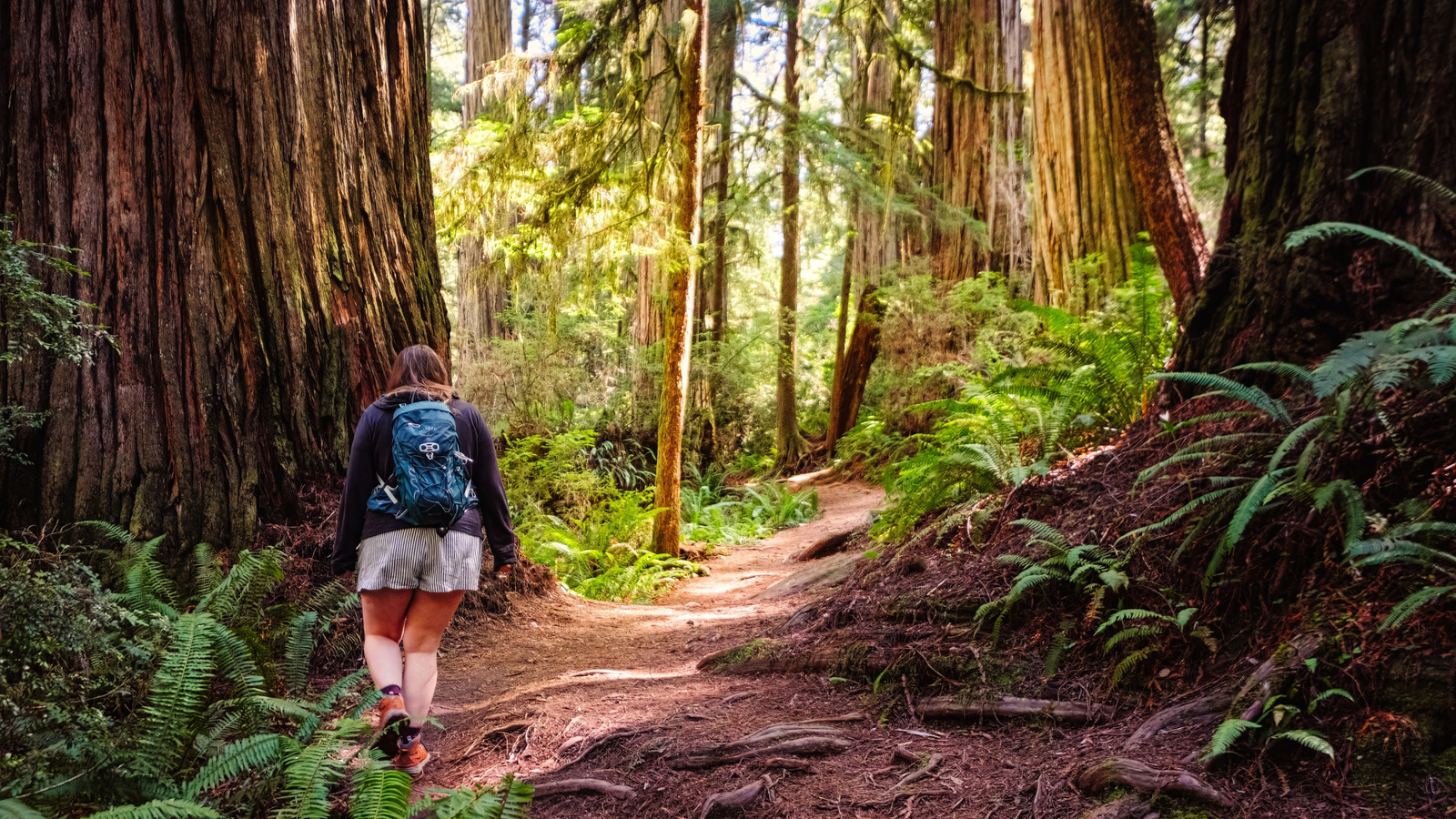 The Best State Parks To Visit For Pristine Hiking Adventures, According ...