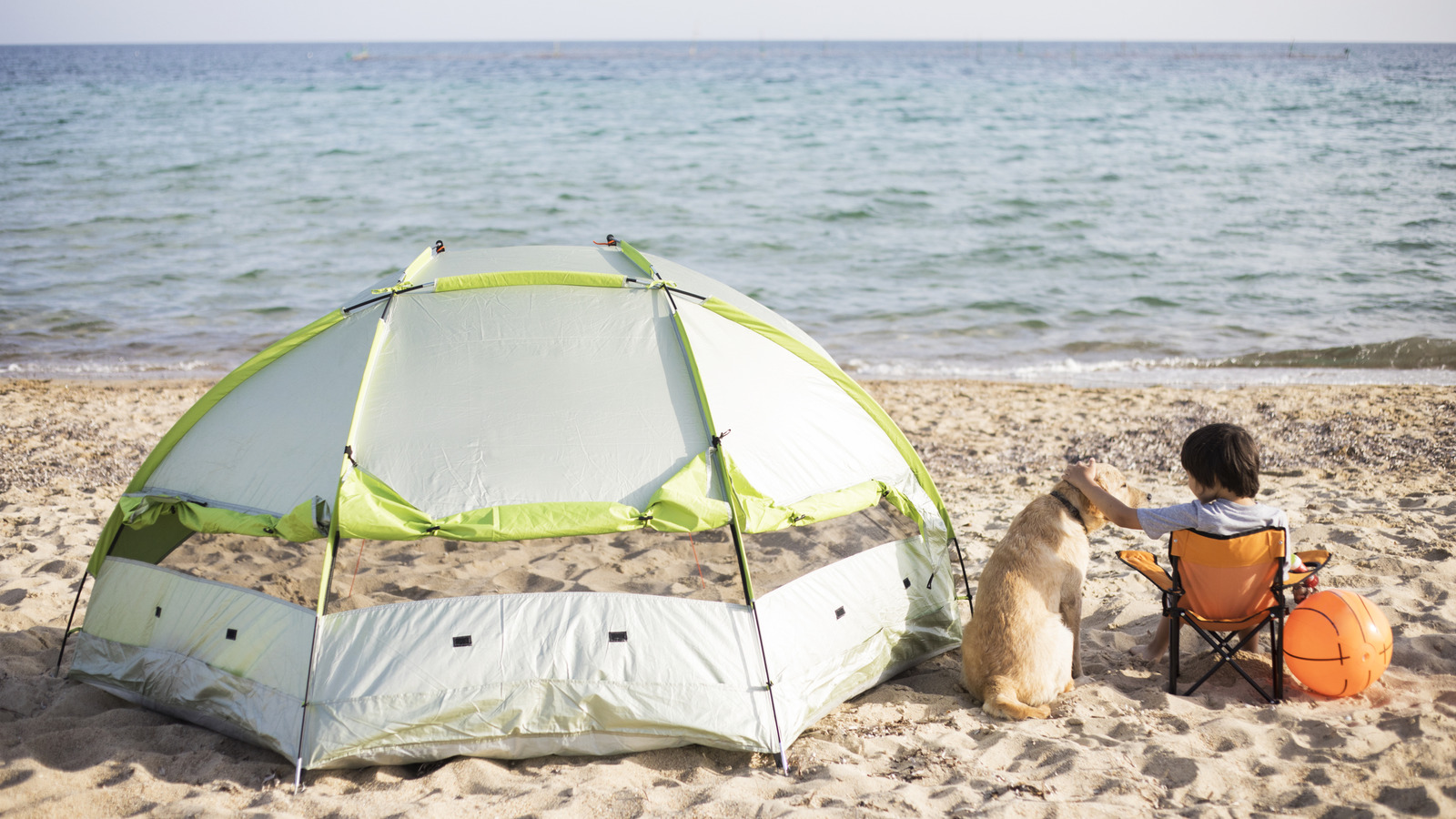 The Best Tents On The Market For Beach Camping, According To Consumer ...