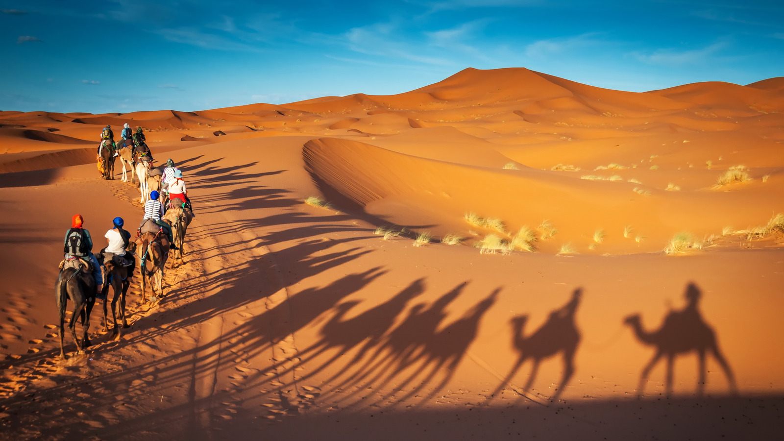 The Best Time Of Year To Go On A Desert Safari In Dubai