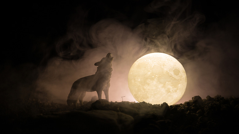 The Creepiest Urban Legends Of All Time