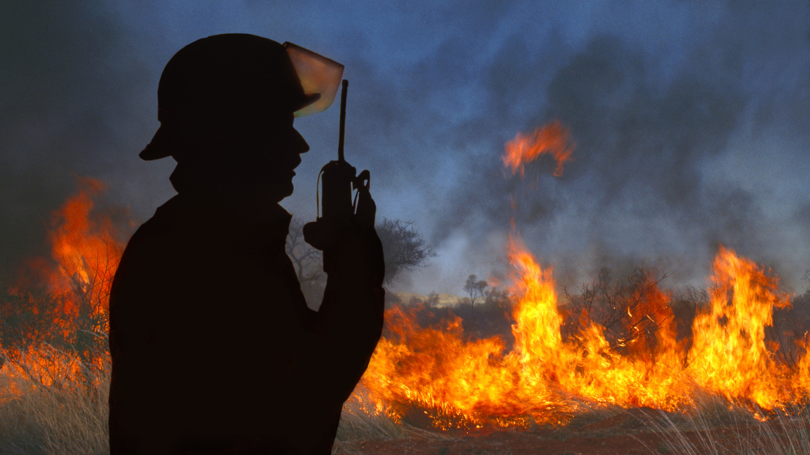 The Deadly Hiking And Camping Hazard On The Rise Due To Climate Change ...
