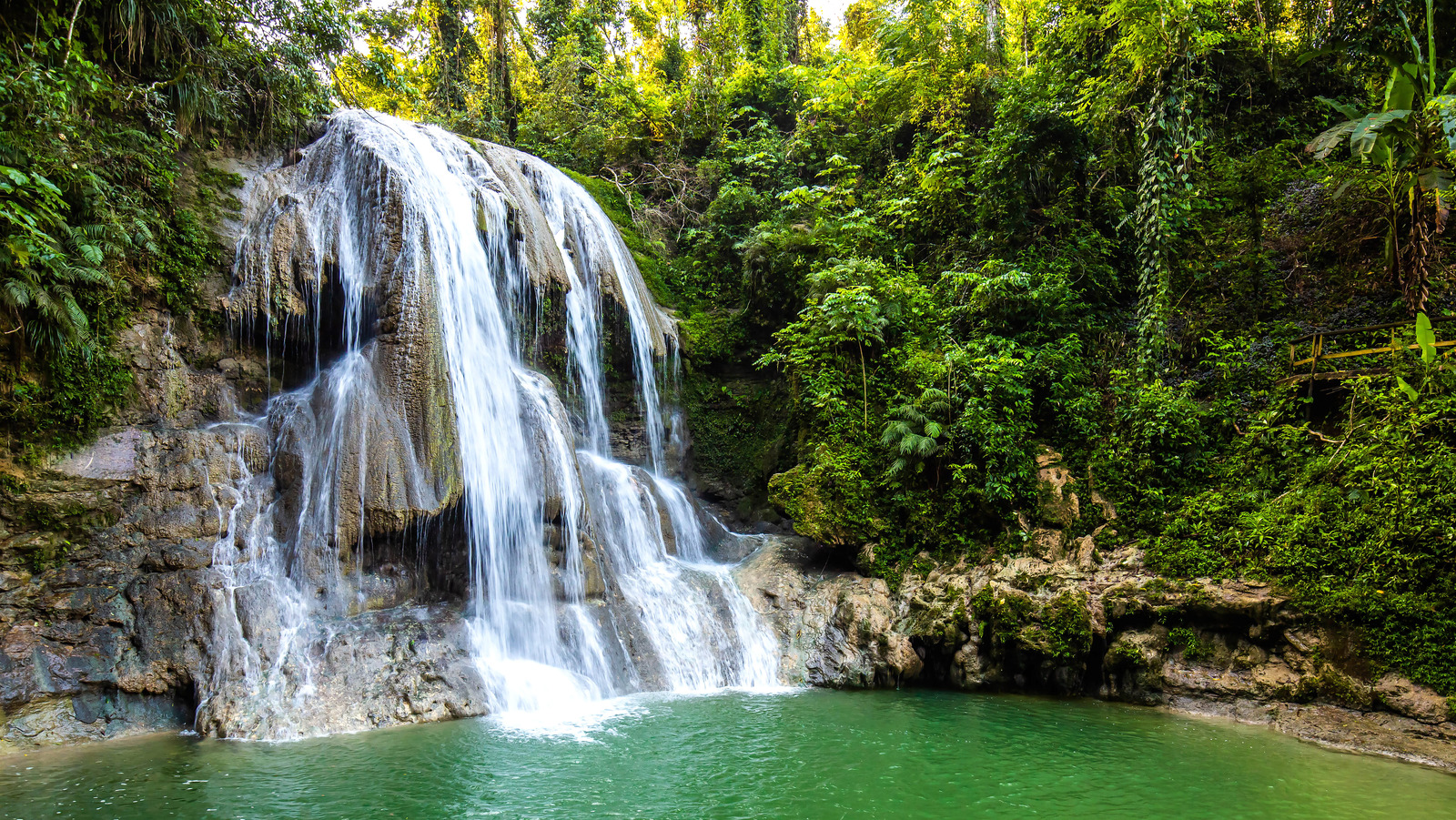 Explore Puerto Rico's Dreamy Gozalanda Waterfalls With Viator