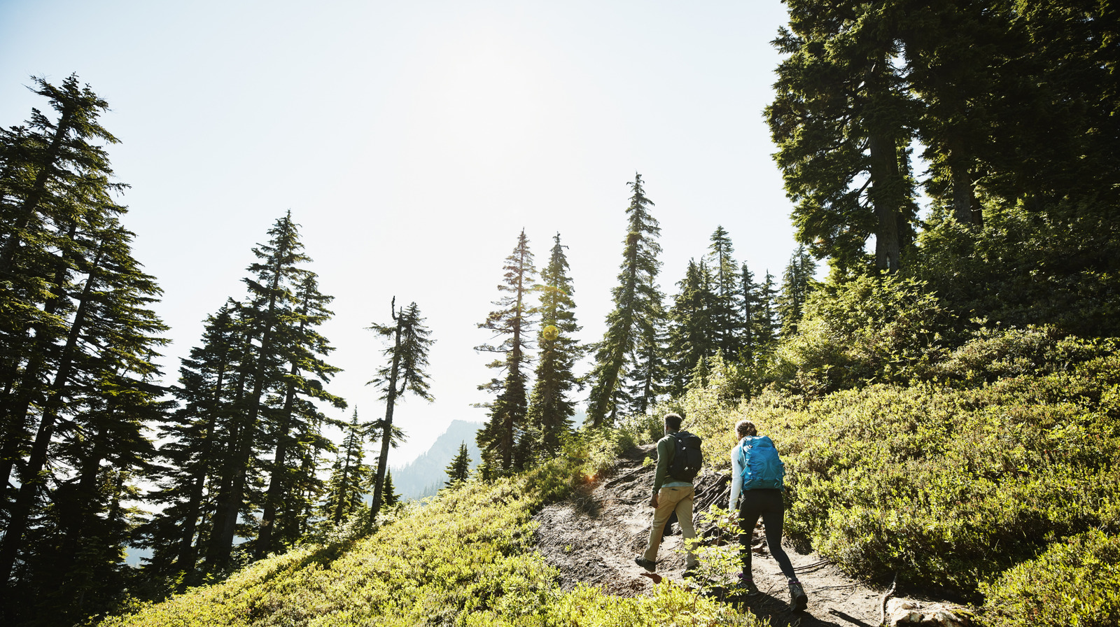 The Longest Continuous Trail In America Offers An Epic Coast-To-Coast ...