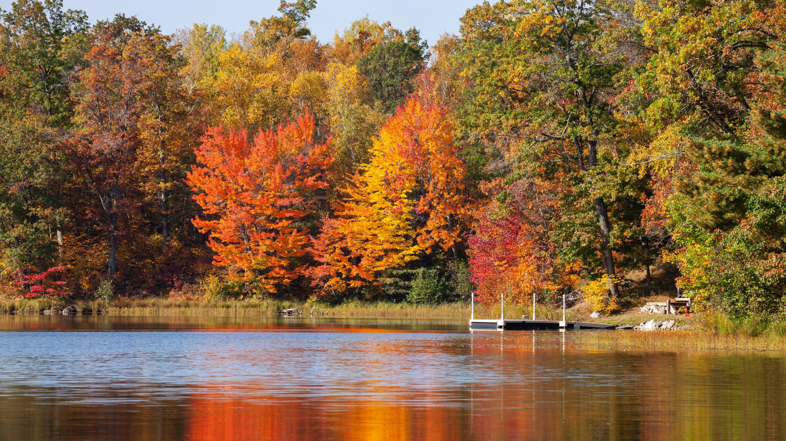 The Minnesota Lake Known For Its World-Renowned Fishing Thrives With ...