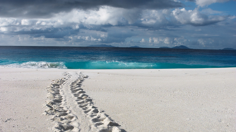 The Most Beautiful Private Islands In The World