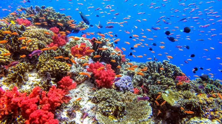 The Most Beautiful Private Islands In The World