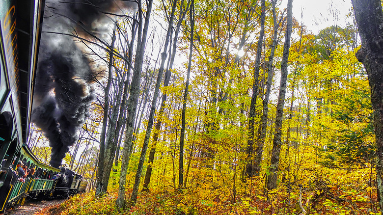 The Most Scenic Train Rides In America