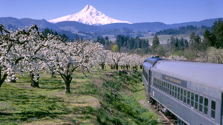 The Most Scenic Train Rides In America