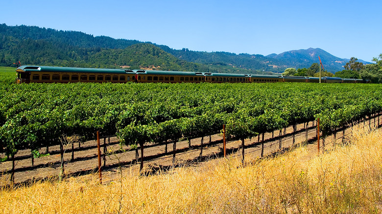 The Most Scenic Train Rides In America