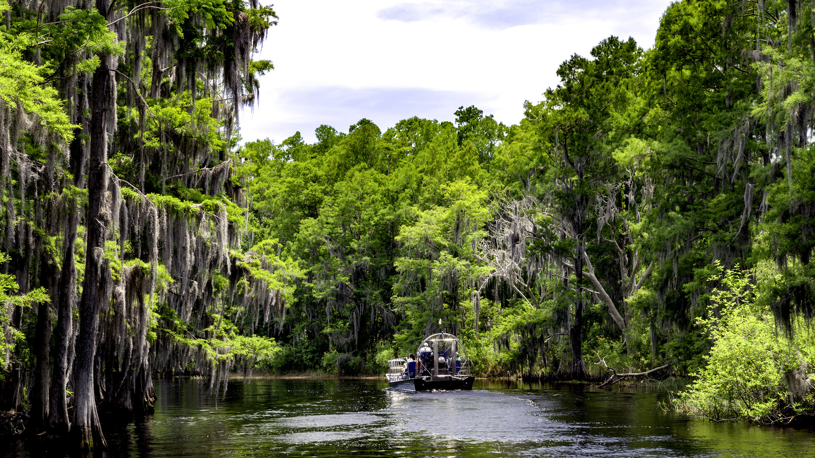 The Most Underrated State Parks In Florida The Most Underrated State Parks In Florida