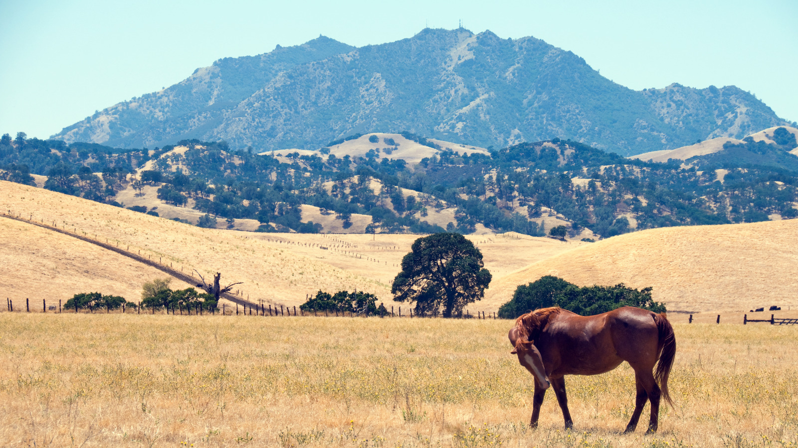 Mount Diablo State Park Is A Breathtaking And Underrated California Park