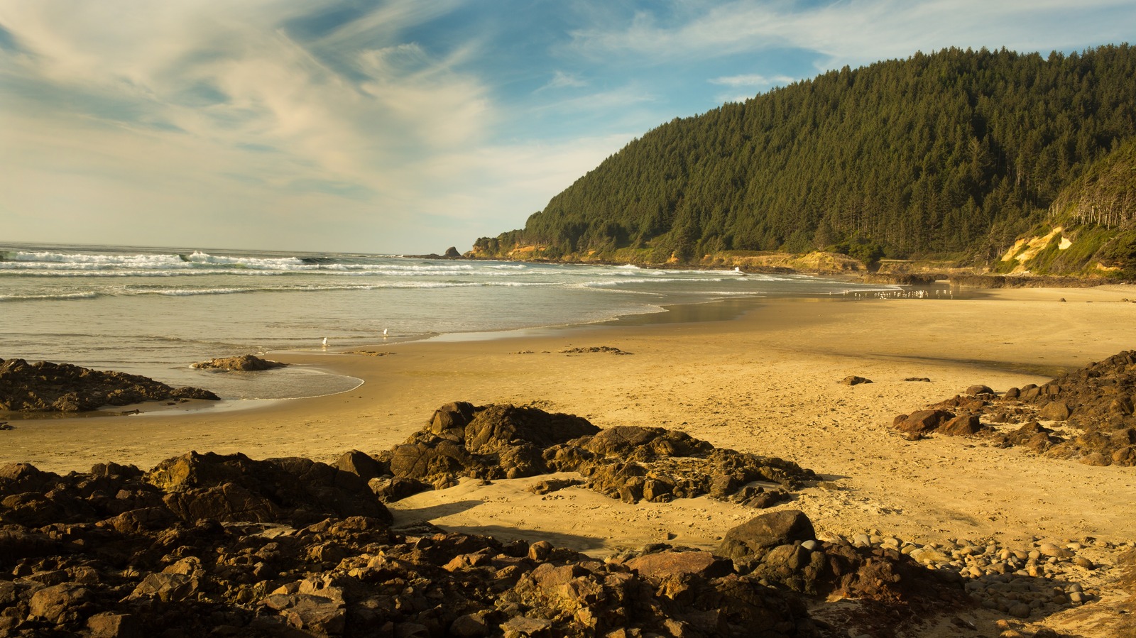 The Oregon Beach With A Secret Sea Cave, Tide Pools, And A Chance To ...