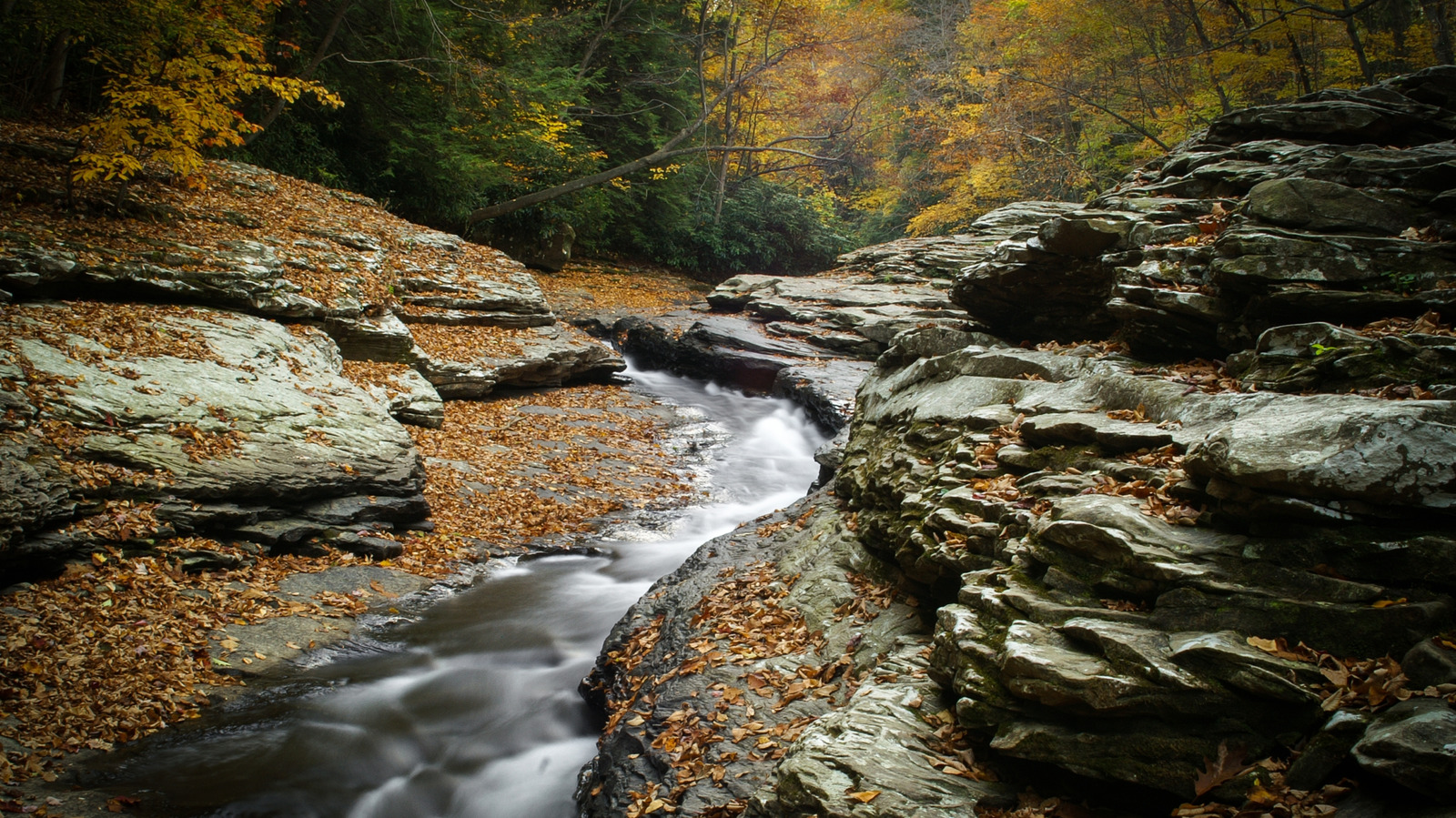 The Pennsylvania State Park With Natural Waterslides, Whitewater ...