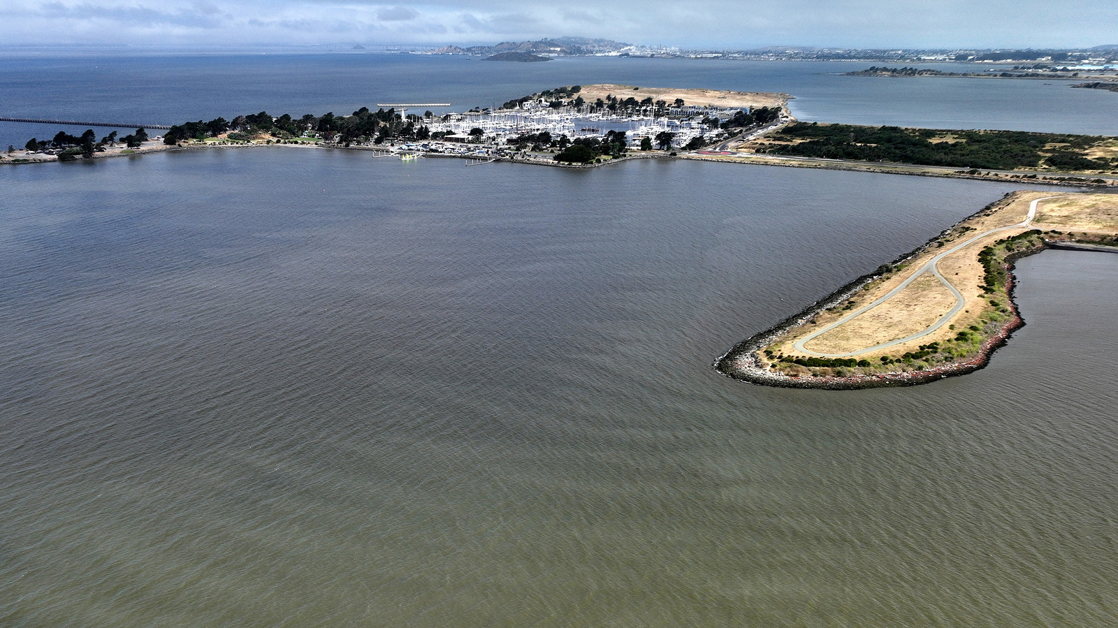 The Scary Wildlife-Related Reason To Not Swim Or Surf In Coastal Waters ...