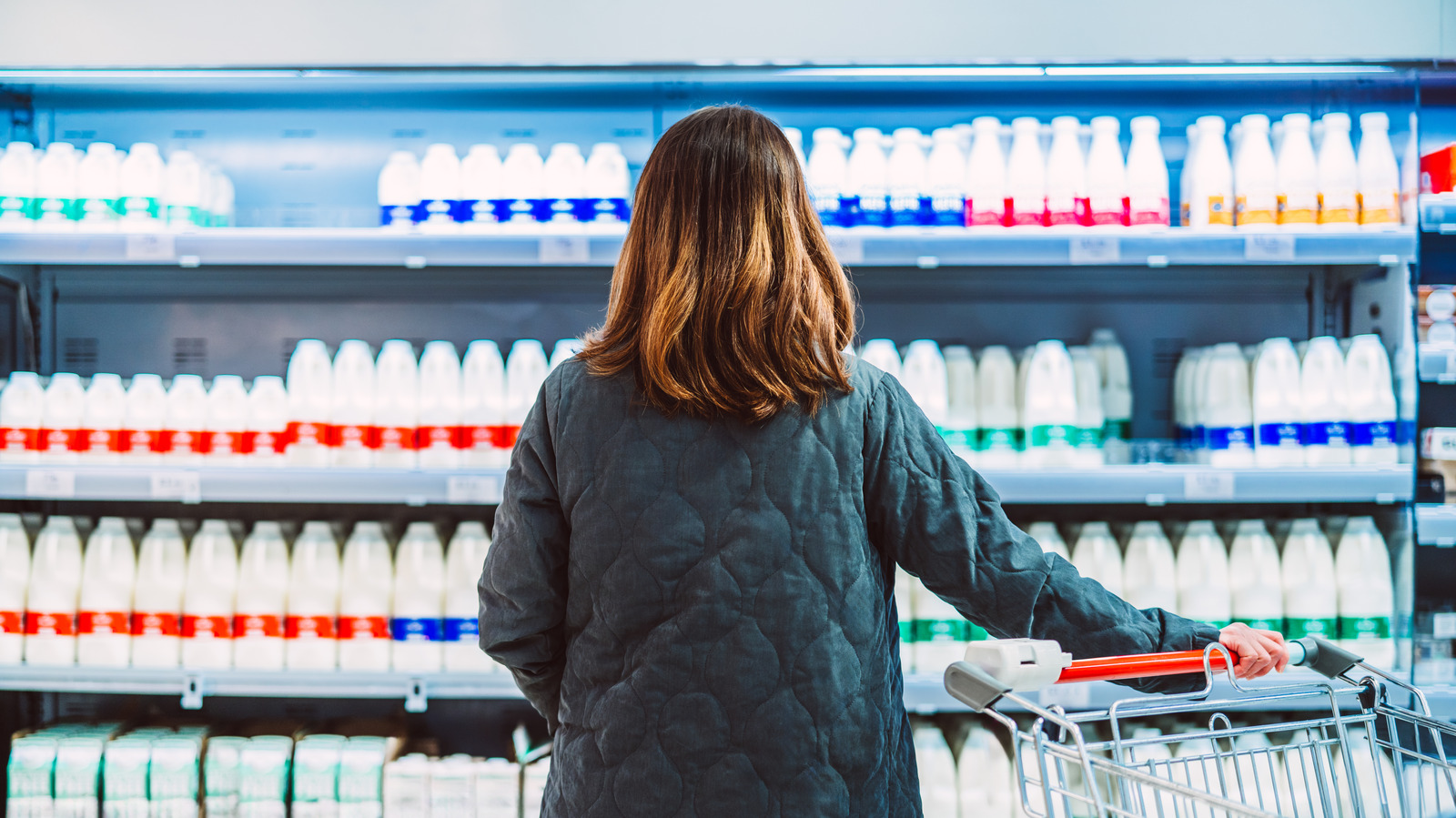 The Strange Place Tourists Visiting A Grocery Store In Europe Will Find ...