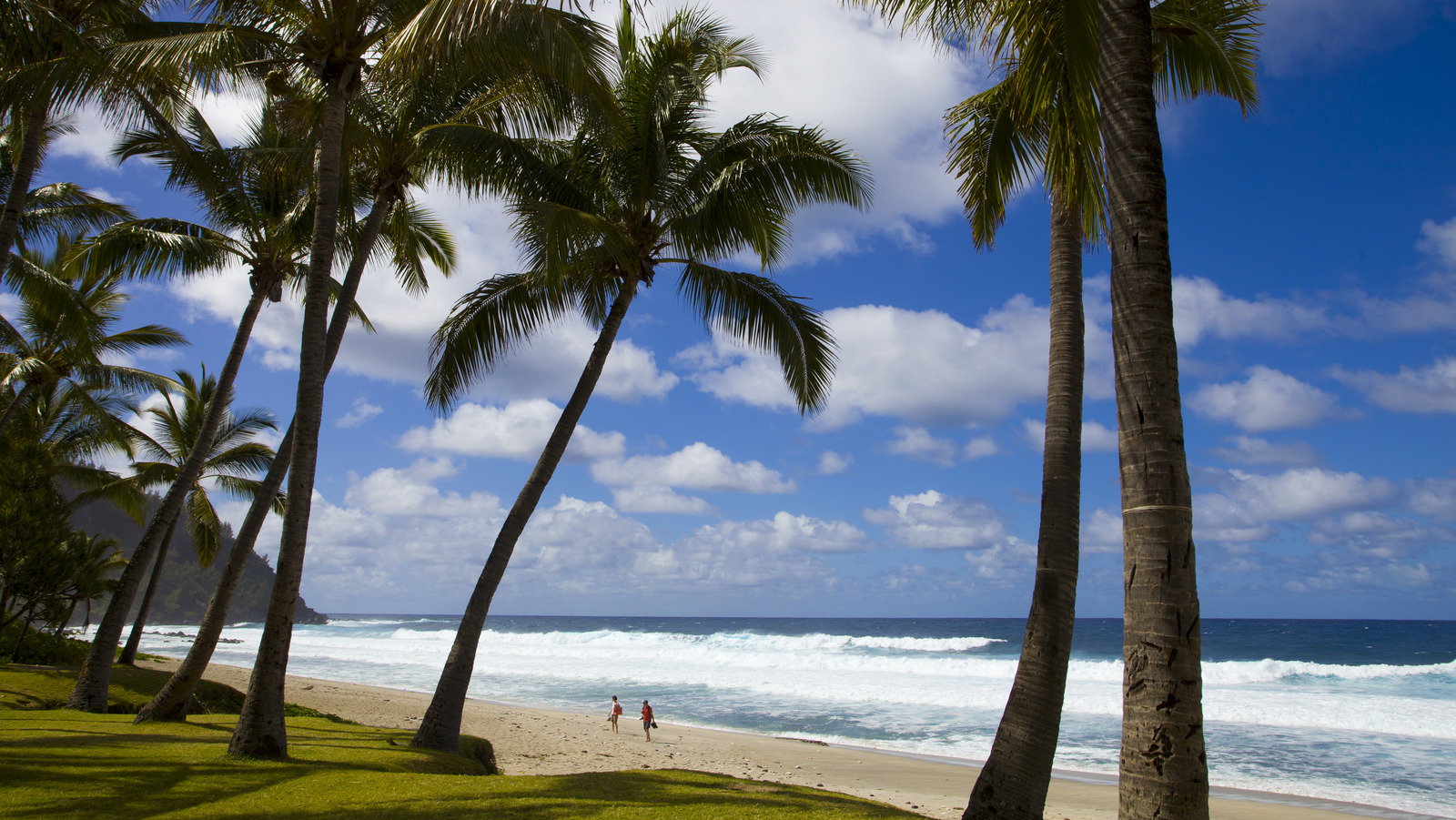 Réunion Island Is A Stunning Island You Should Visit But Never Swim At