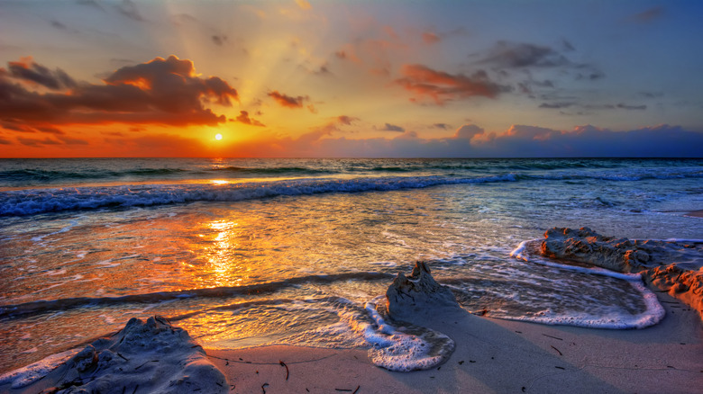 The World's Most Shark-Infested Beaches