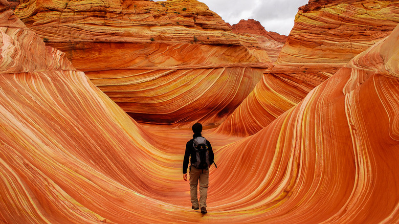The World's Strangest Natural Wonders