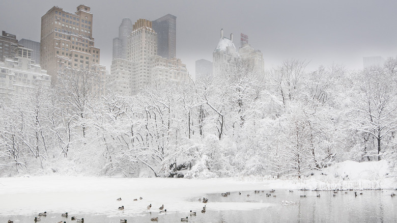 These 15 States Get The Most Snowfall