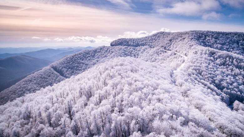 Appalachian Mountains Snow
