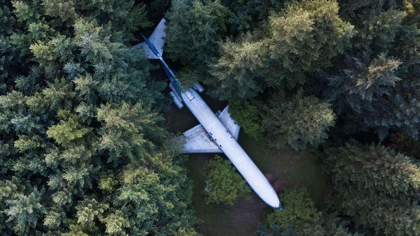This Airplane Home In A Pacific Northwest Forest Is A One-Of-A-Kind ...