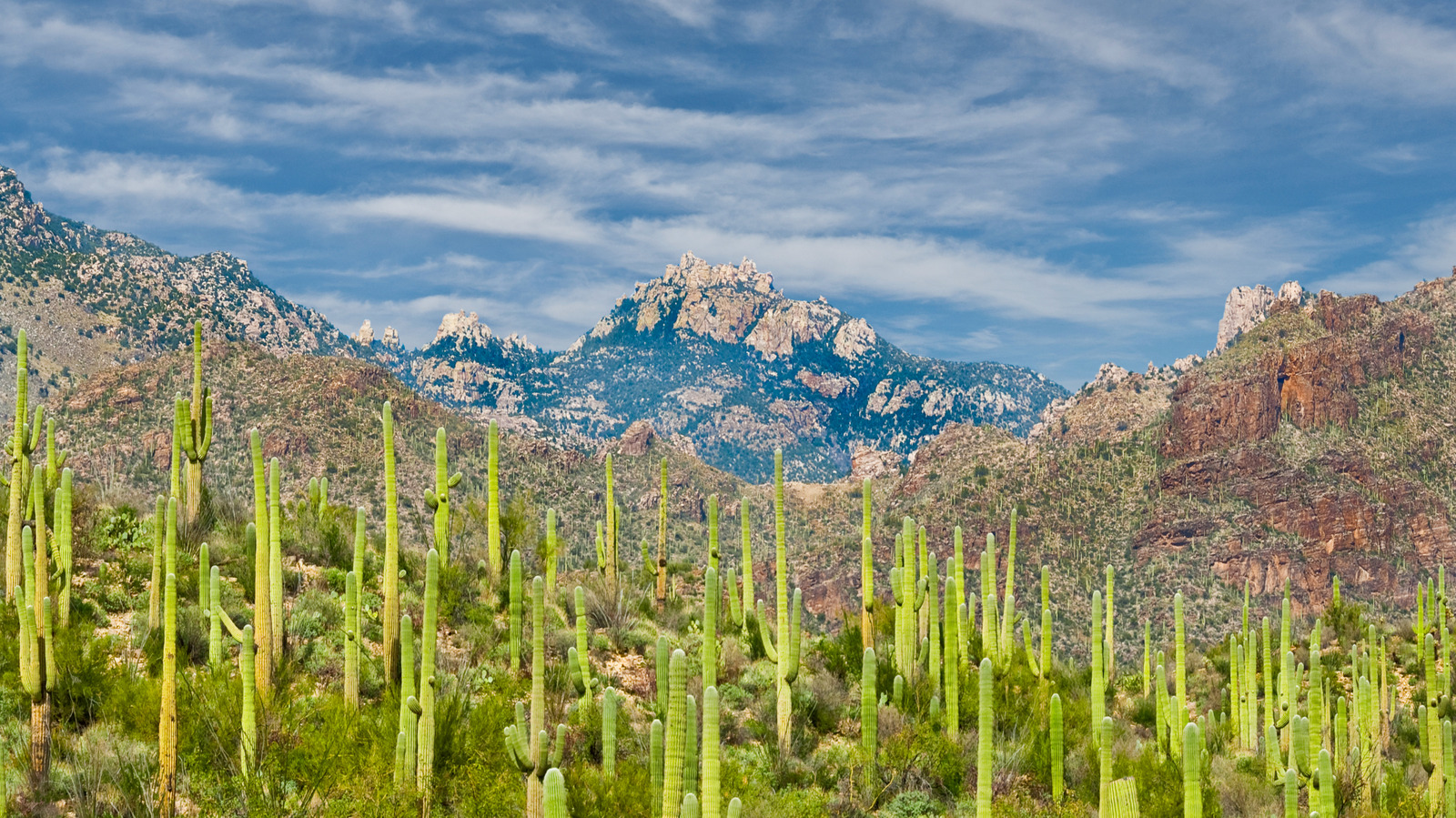 This Arizona National Forest Is An Underrated Outdoor Paradise With ...