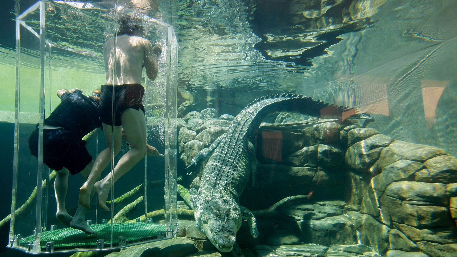 This Australian Tourist Attraction Called "Cage Of Death" Is Really Not ...