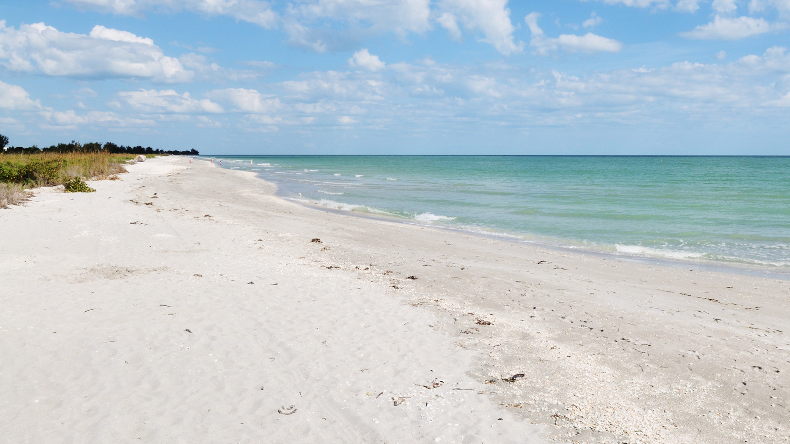This Award-Winning Beach In Florida Is A Warm Winter Getaway You Won't ...