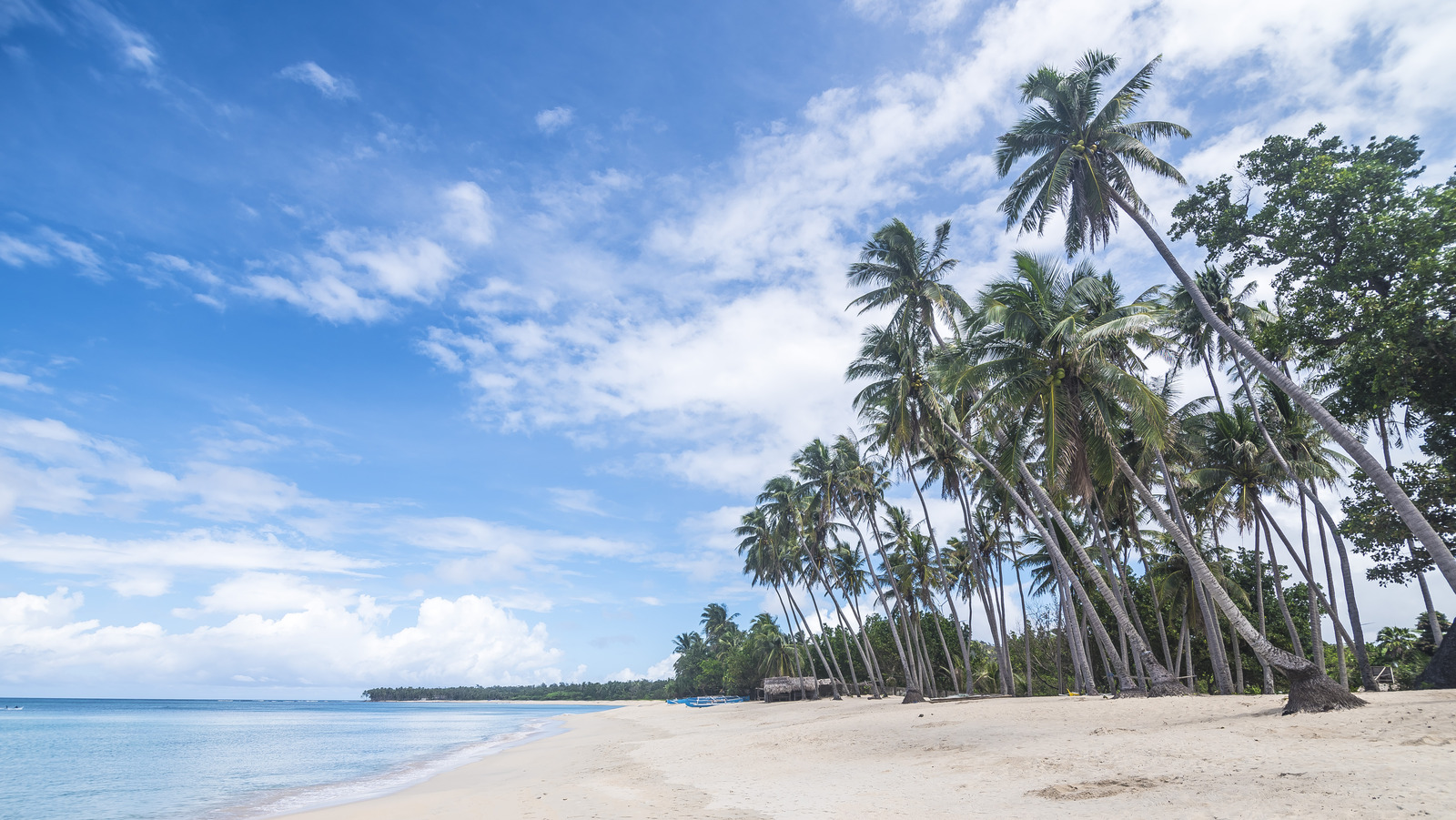 This Beautiful Beach In Asia Is The Perfect Destination For A Crowd ...