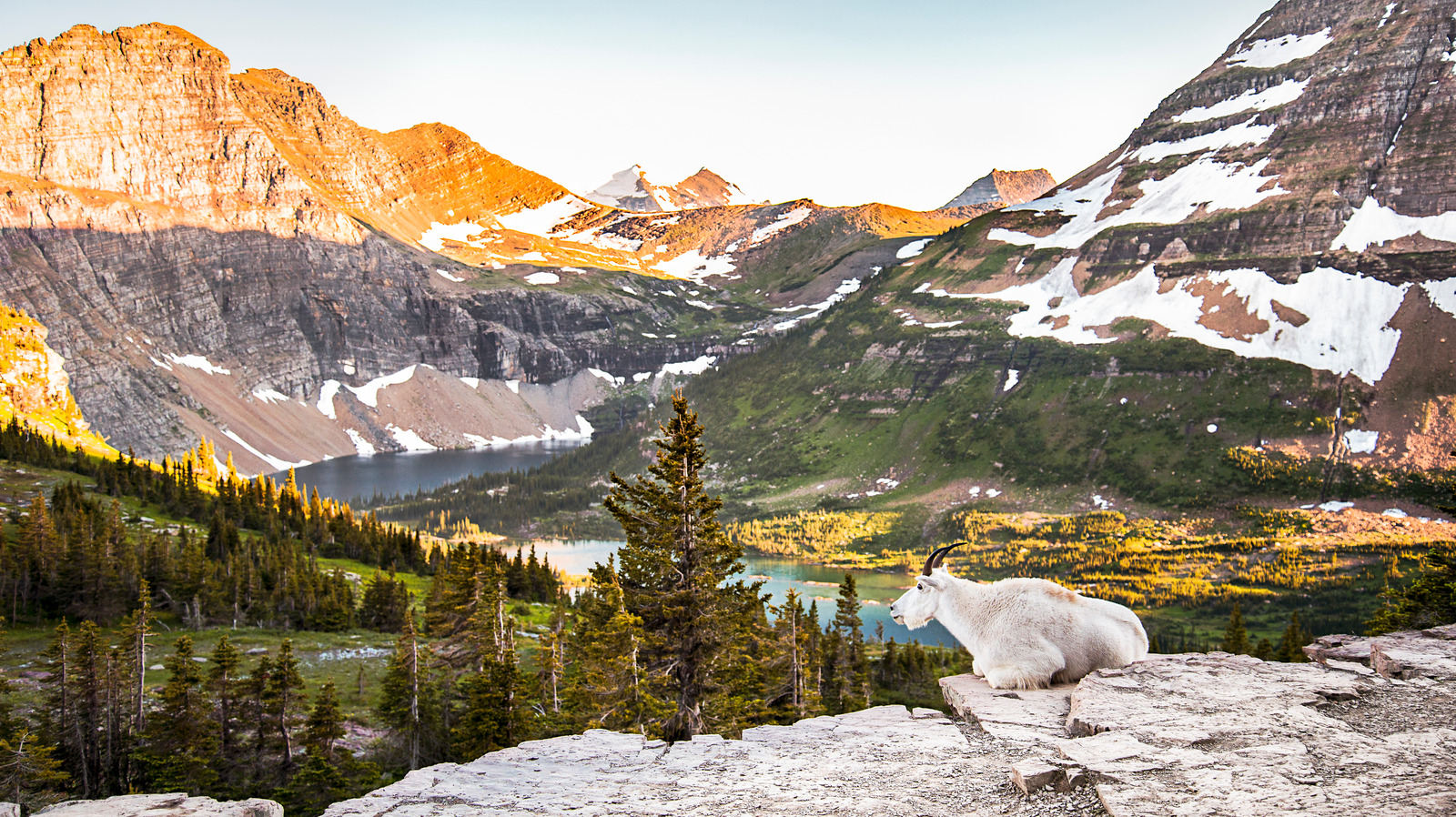 This Breathtaking Hike Is One Of Glacier National Park's Best For ...