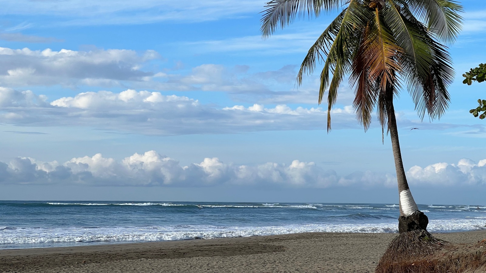 This Calming Costa Rican Beach Is A Total Surfer's Paradise Off ...