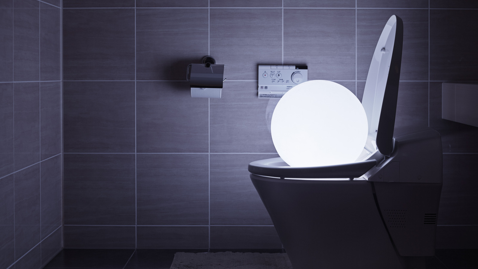 This Country's Unique, High-Tech Toilets Offer A Delightful Experience ...