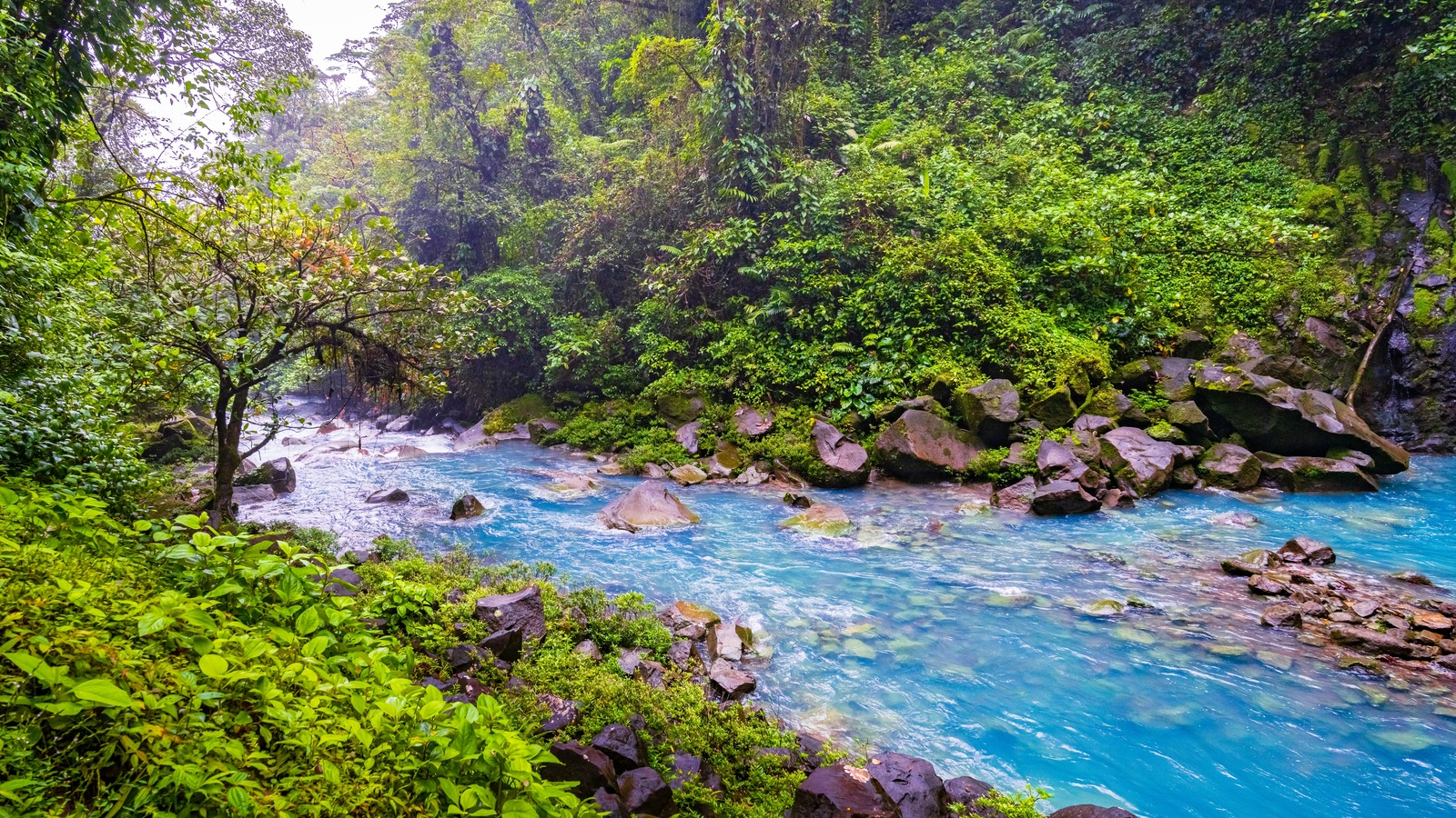 This Ethereal Costa Rican National Park Is A Natural Wonder Full Of ...