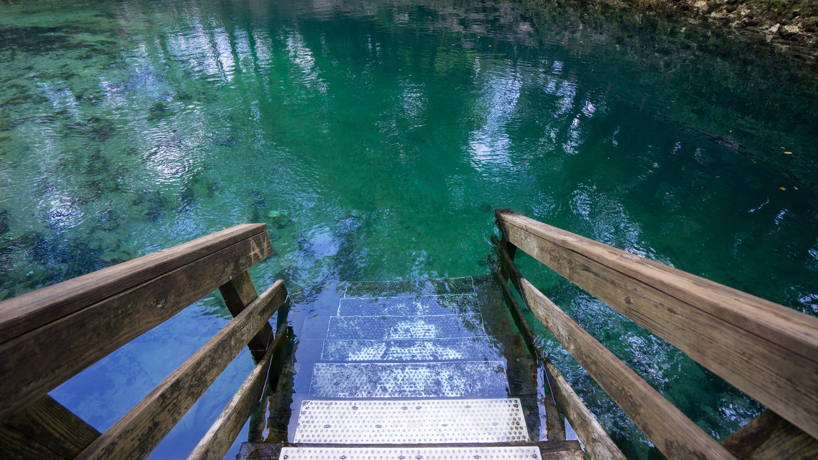 This Florida Swimming Hole Is A Top Ranked Spot For Water Adventures