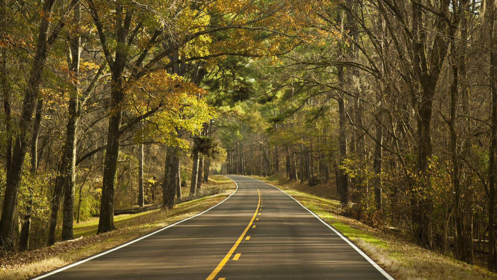 This Gorgeous US Road Trip Route Is Considered One Of The Most Storied ...