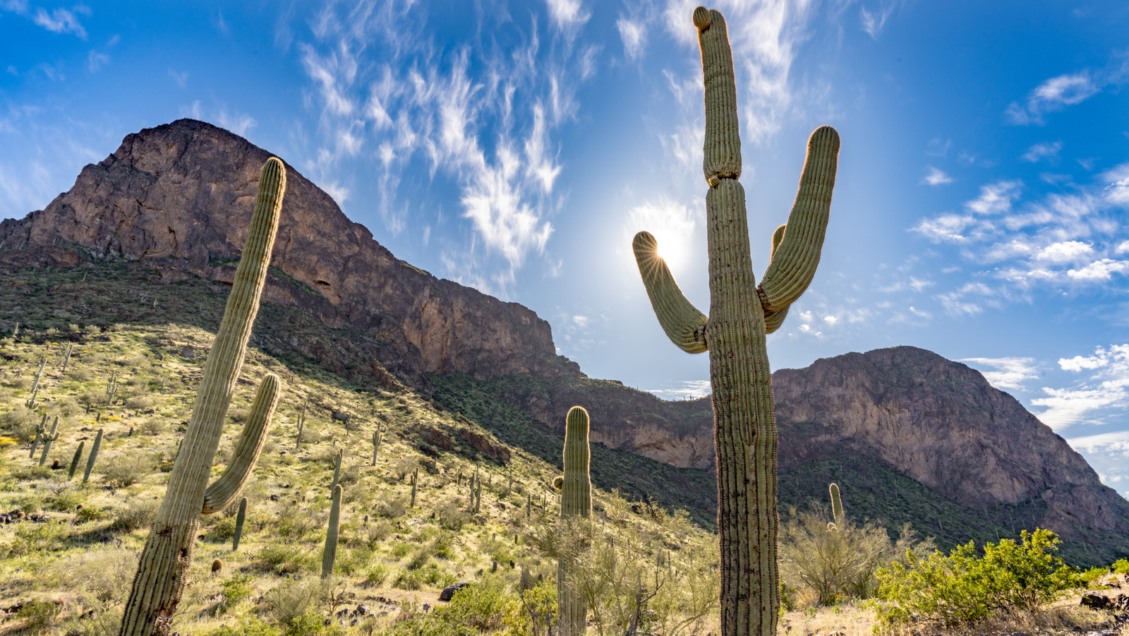 This Intense Arizona Hike Is Every Thrill-Seeking Tourist's Dream