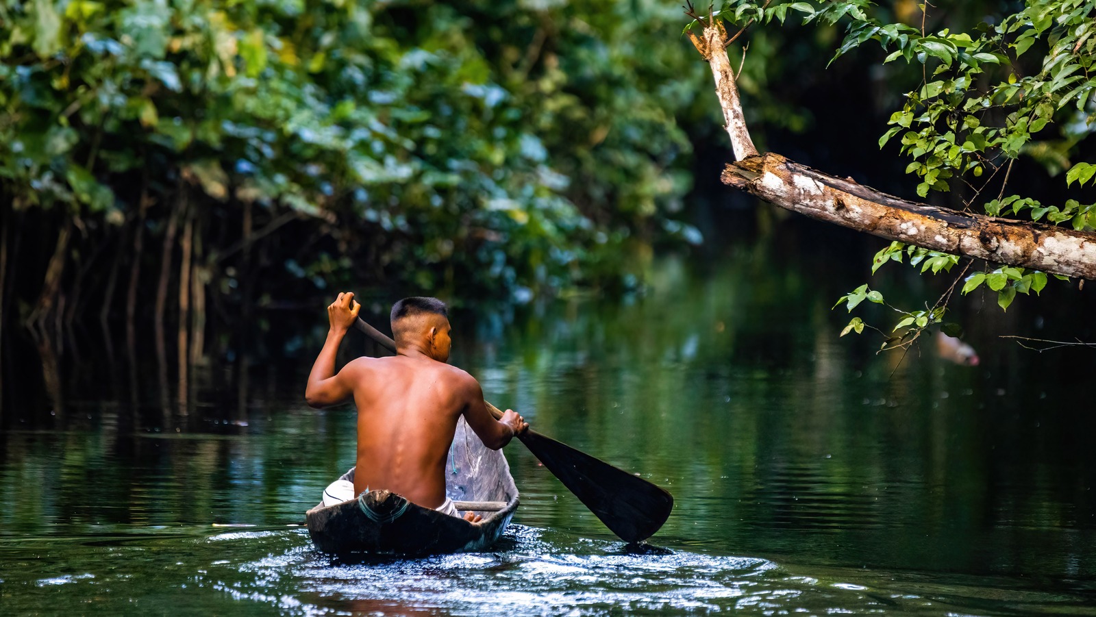 This Island In The Amazon River Is A Unique Destination For Adventurous ...