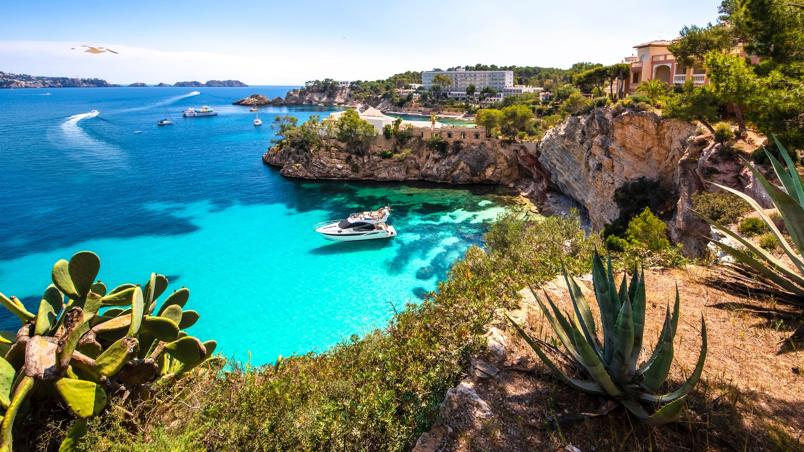Majorca Island Spain